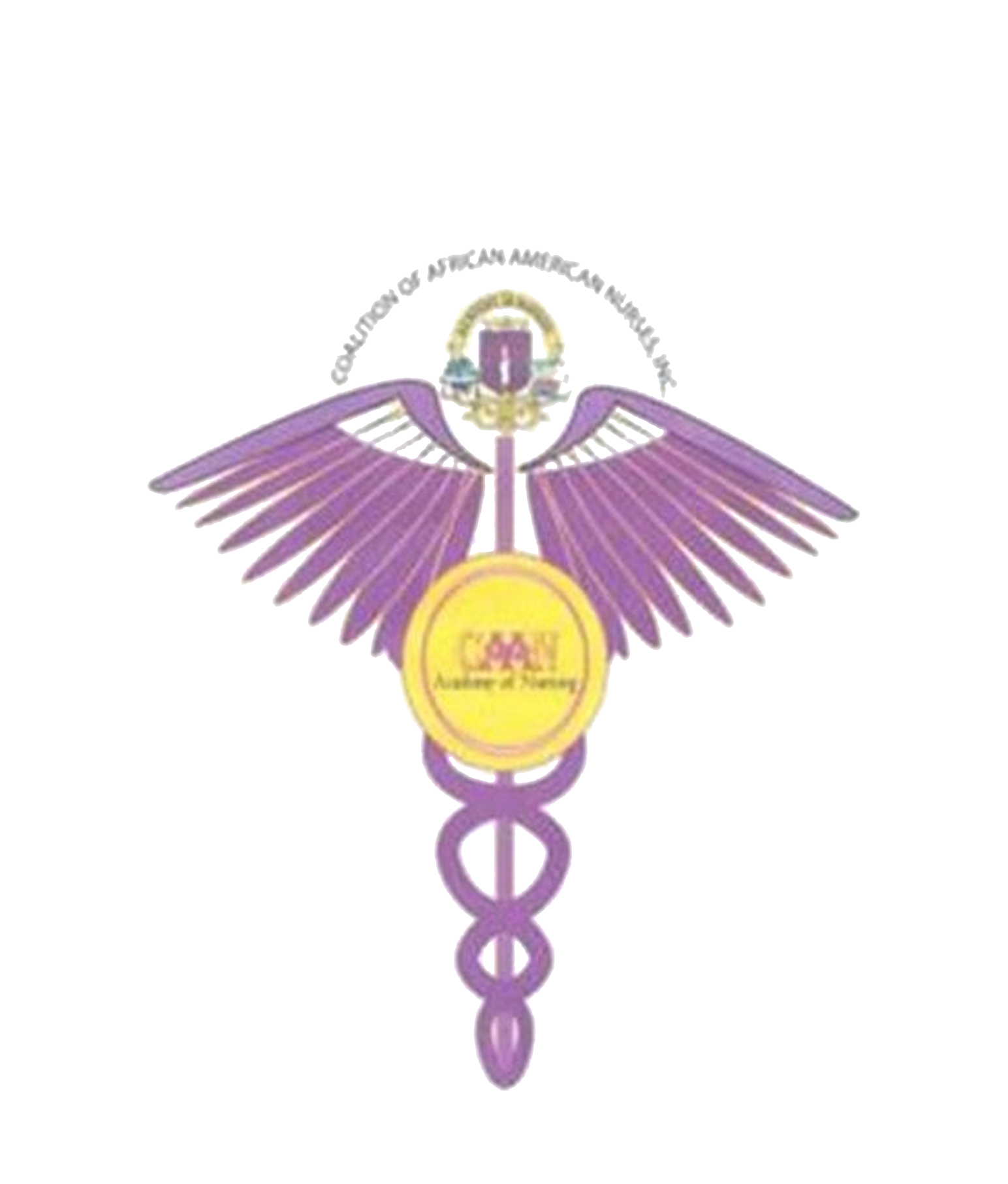 Practical Nursing l Matteson, IL l CAAN Academy of Nursing