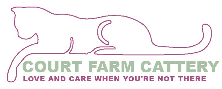 Cattery | Court Farm Cattery
