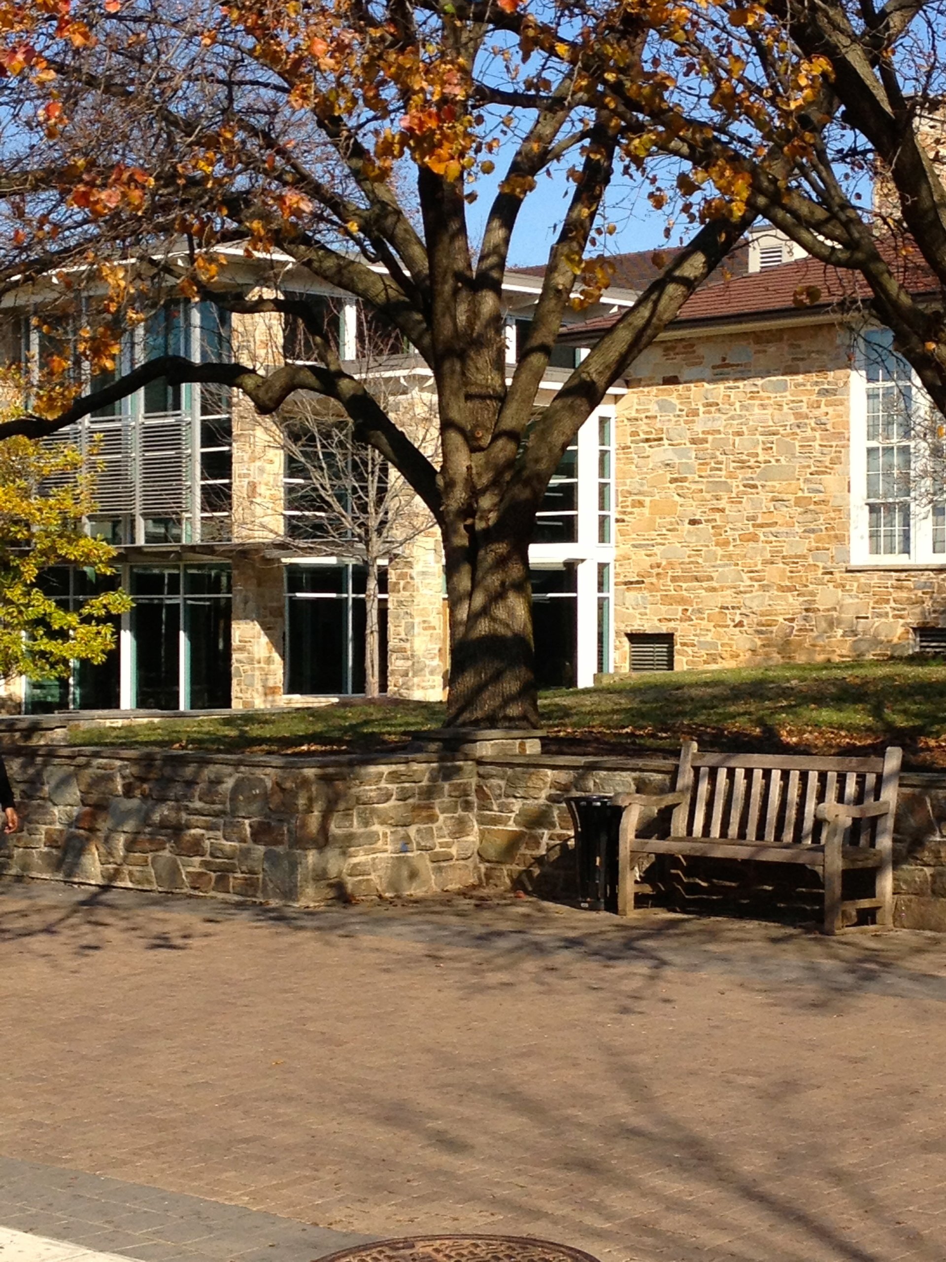 Goucher College - Creating Global Citizens