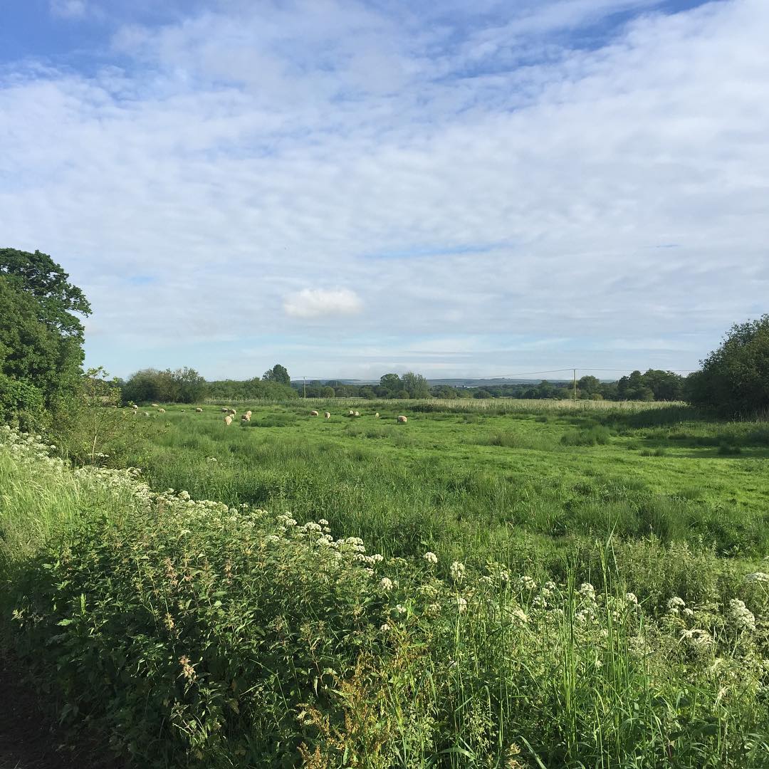 Snelling Farm Campsite