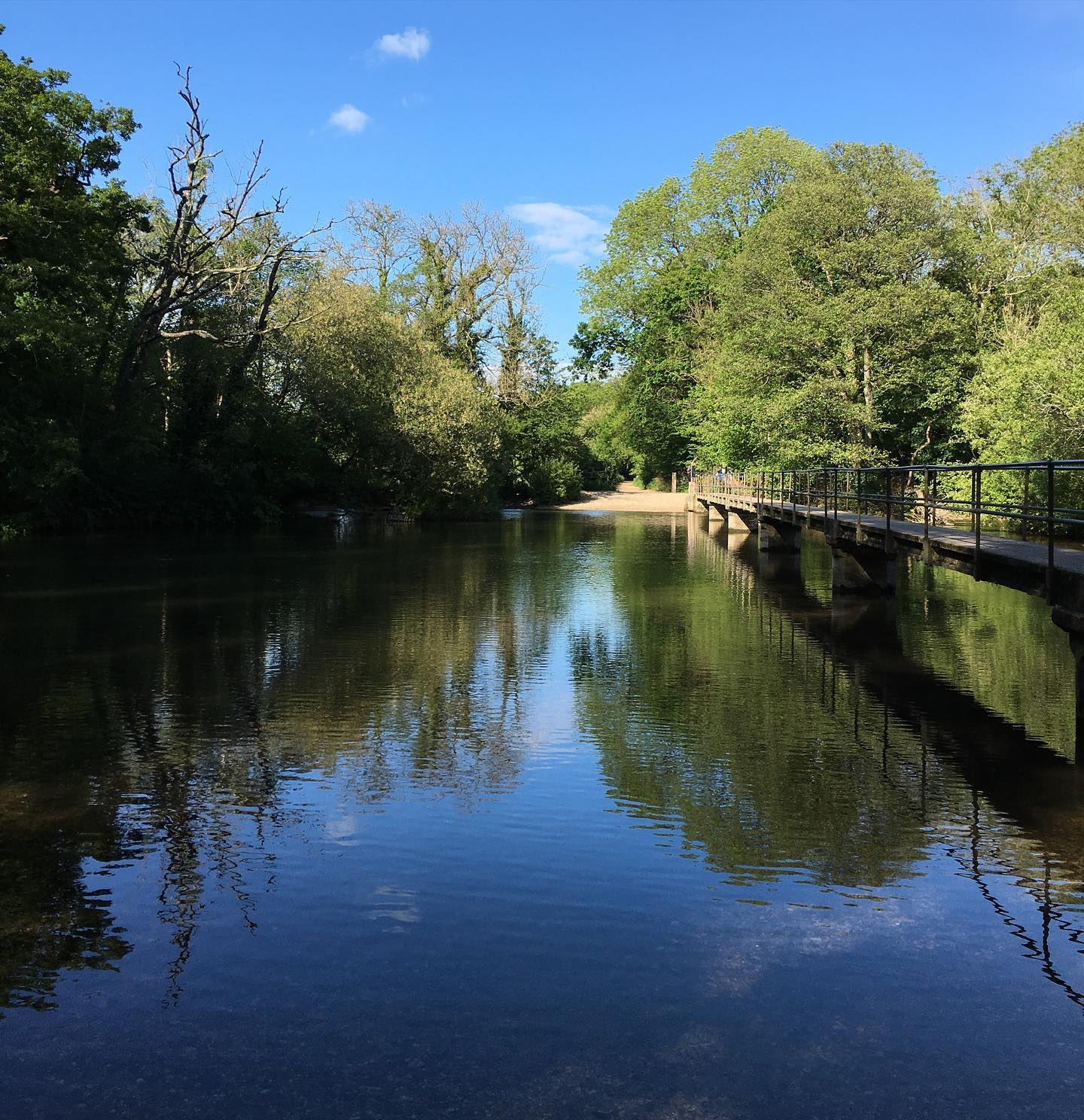 Snelling Farm Campsite