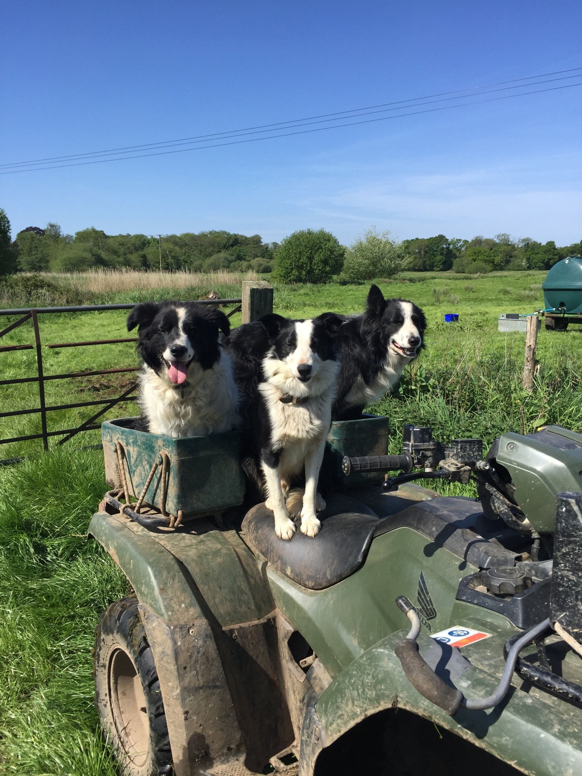 Snelling Farm Campsite