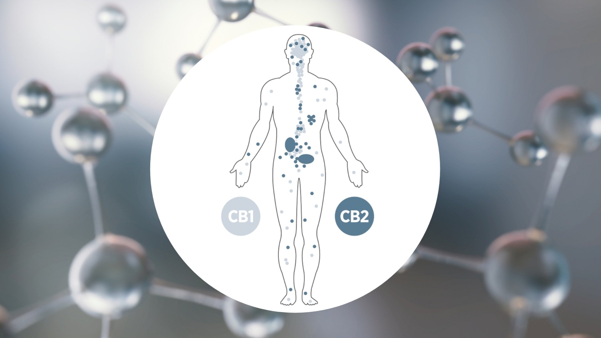 Common Cannabis Terms You May Need To Know