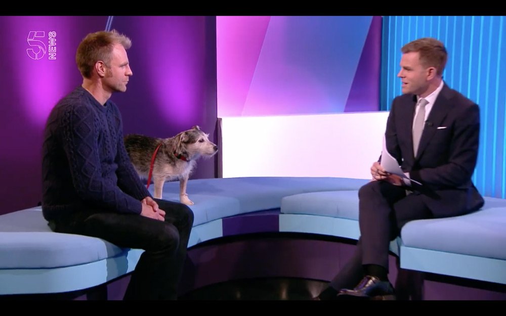 About The Dog Guardian, Nigel Reed Dog Behaviourst, Author The Dog ...