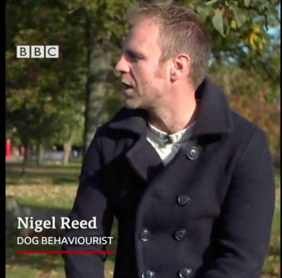 About The Dog Guardian, Nigel Reed Dog Behaviourst, Author The Dog ...
