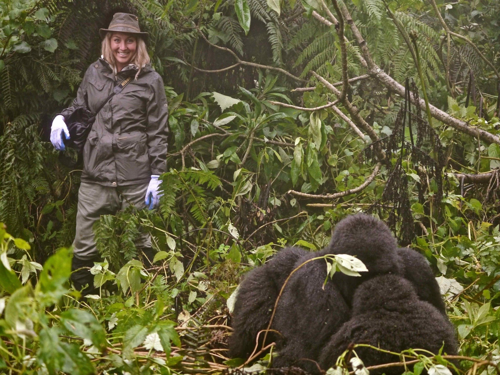 Gorilla safari in Rwanda, Uganda. Mist Rwanda Safaris.