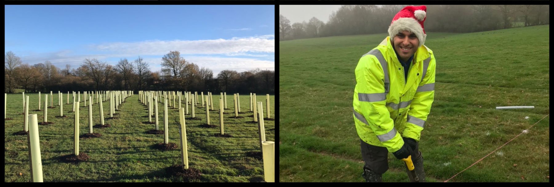 National Tree Planting Week