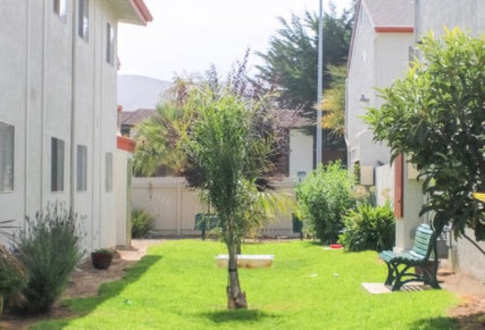 The Palms - Gardner Management, Ltd.Gardner Management, Ltd.