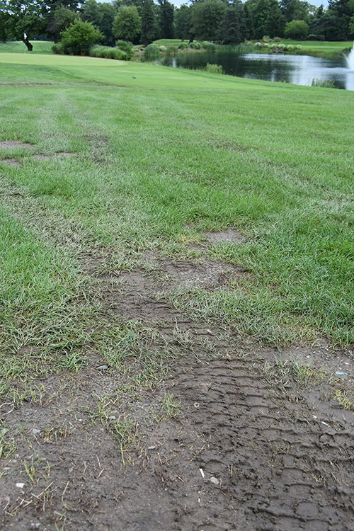 How to Restore and Prevent Soil Compaction
