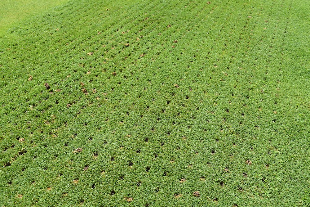 How to Restore and Prevent Soil Compaction