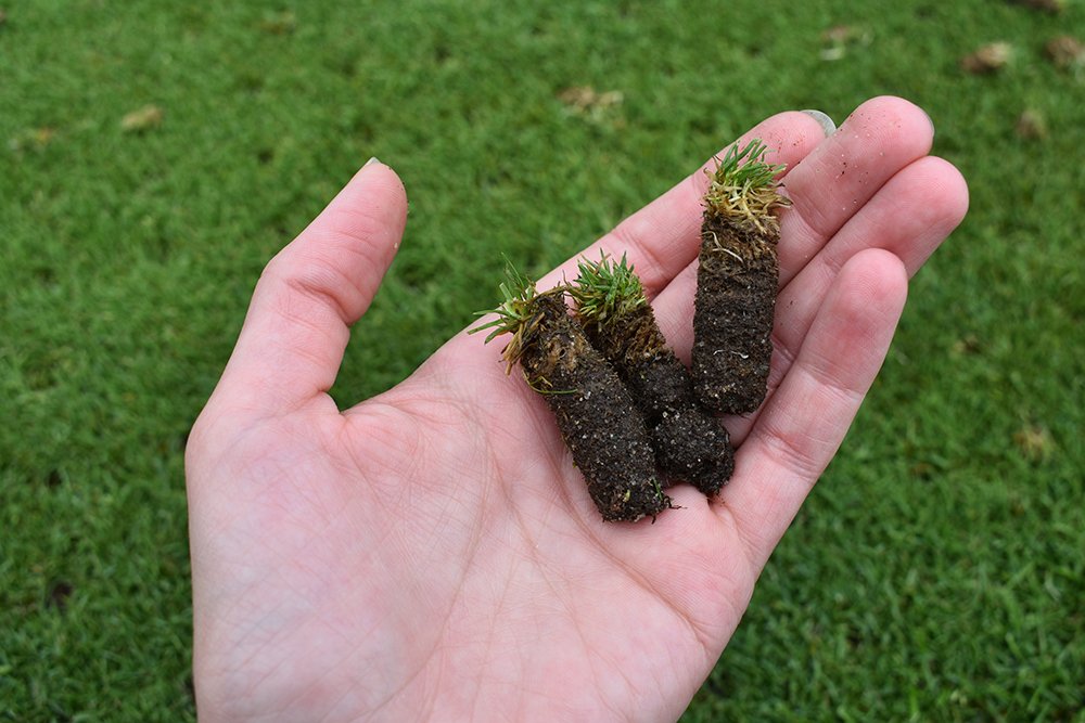 How to Restore and Prevent Soil Compaction