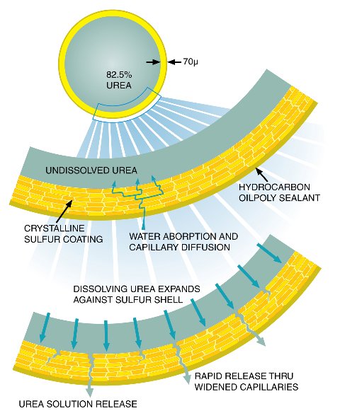 Turf[TECH]Report - Controlled/Slow Release Fertilizers [Part 1]