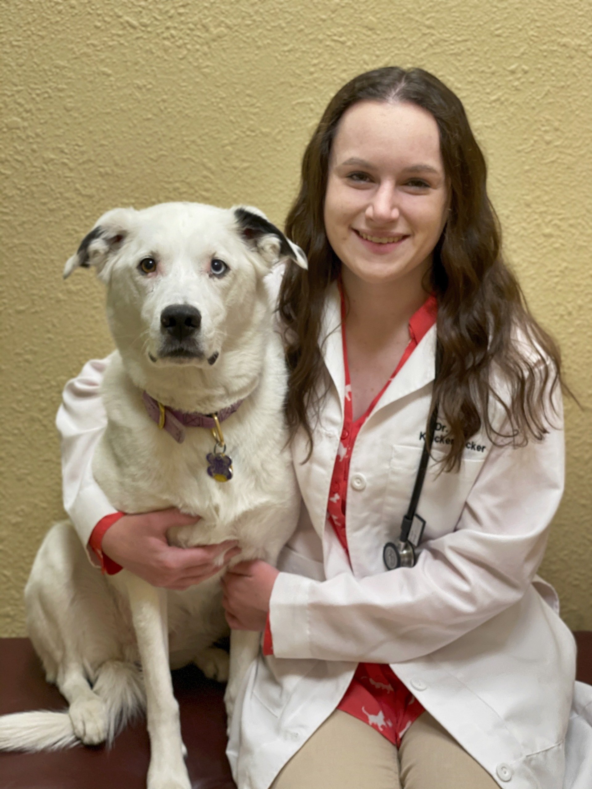 Our Veterinarians | Aloha Animal Hospital
