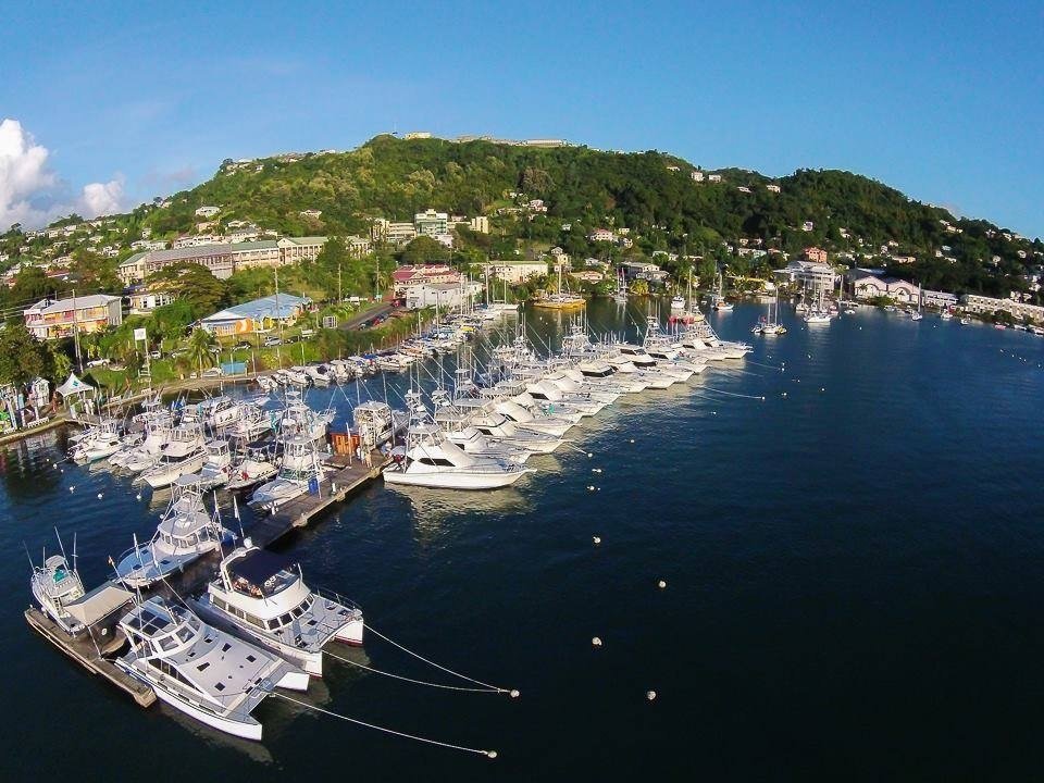 Gallery | The best game fishing in Grenada | Rum Knuckles