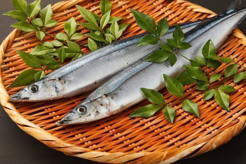 Seafood Supplier Malaysia - Standard Food Solutions