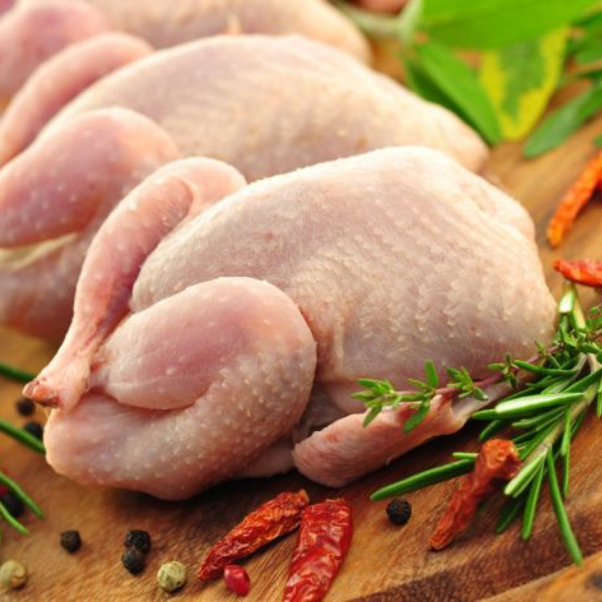 Poultry Supplier Malaysia - Standard Food Solutions