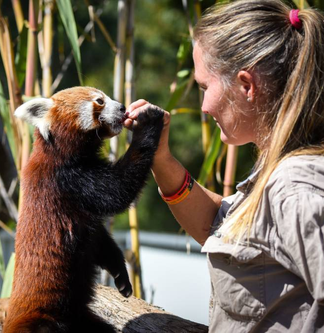 Tasmania Zoo - Riverside, TAS - Home