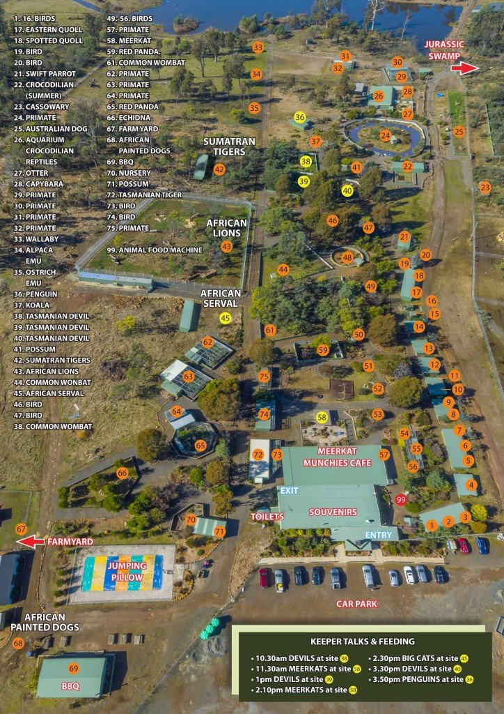 Tasmania Zoo - Riverside, TAS - Zoo Map