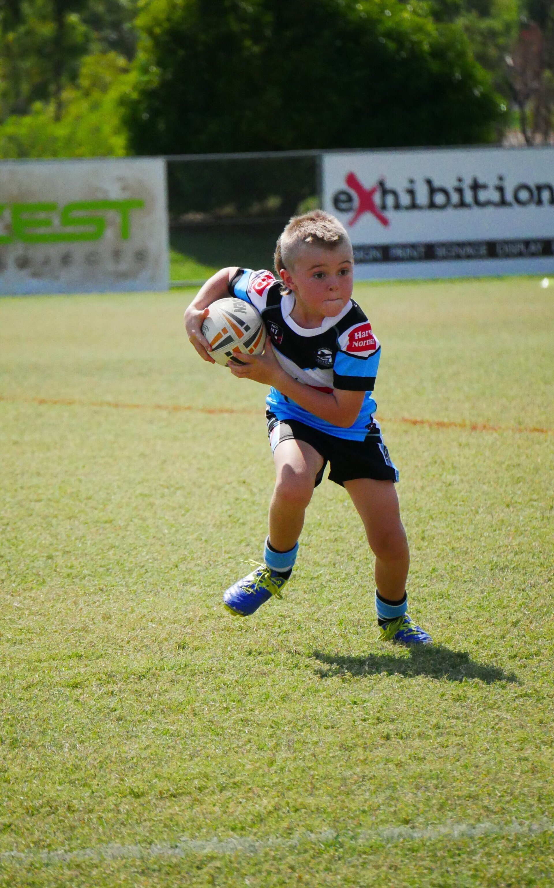 Fees and Resources | Northern Sharks Rugby League Football Club