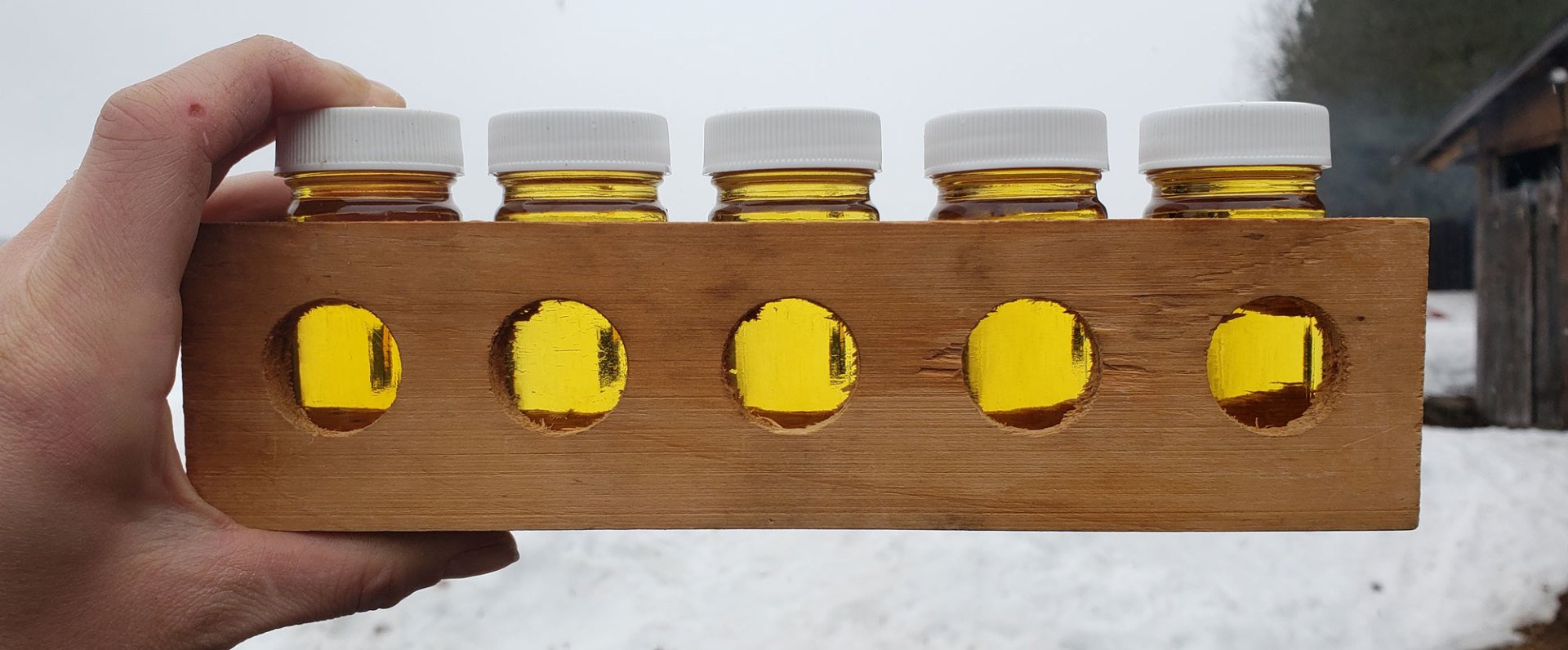 Hubbert's Maple | Maple Grading