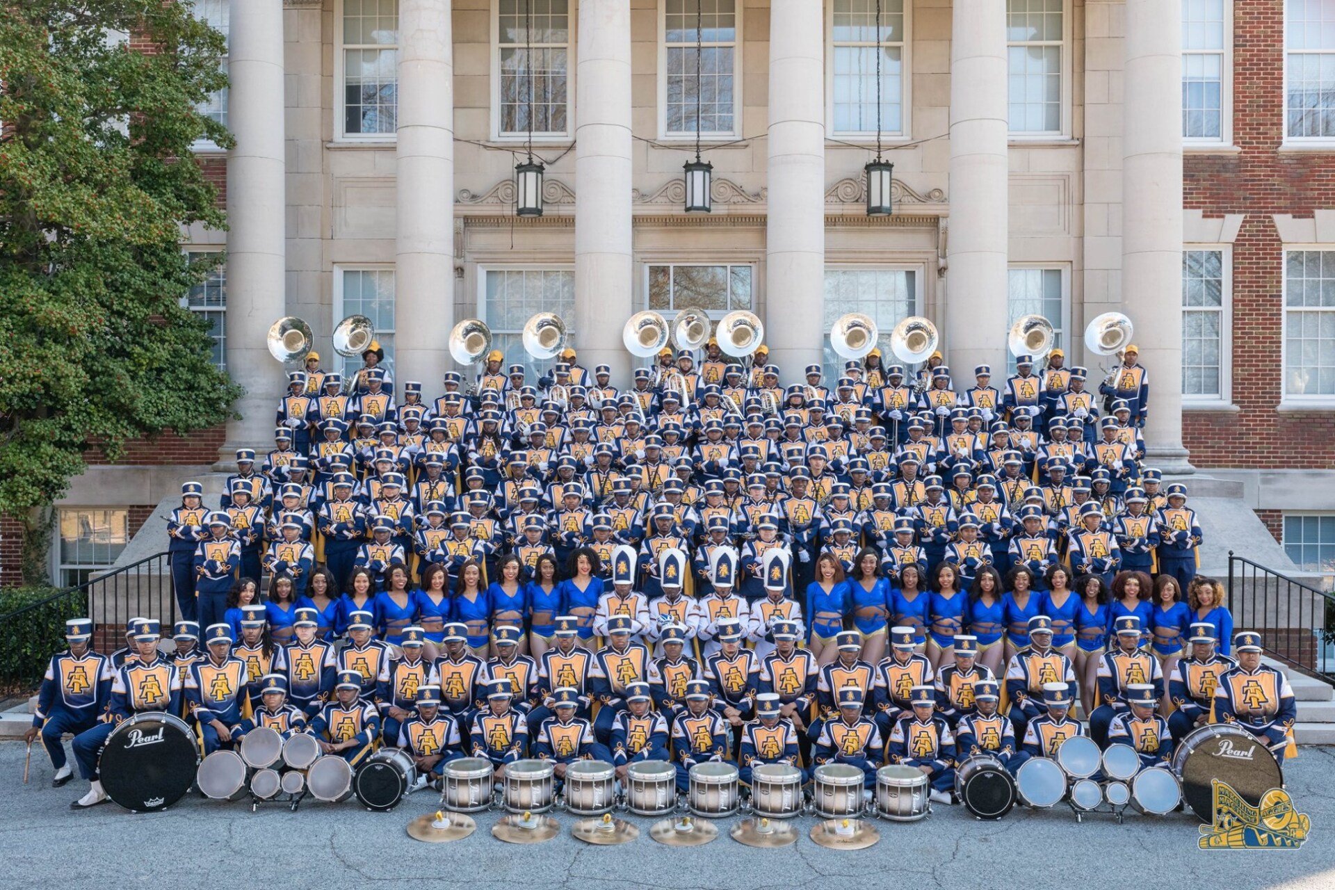 The Bands