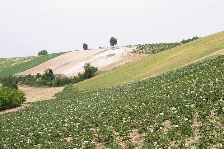 Centro ippico | Vigolzone, PC | Agriturismo La Favorita