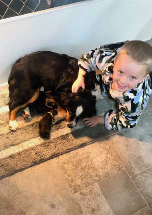 About |JBK Nebraska Dog