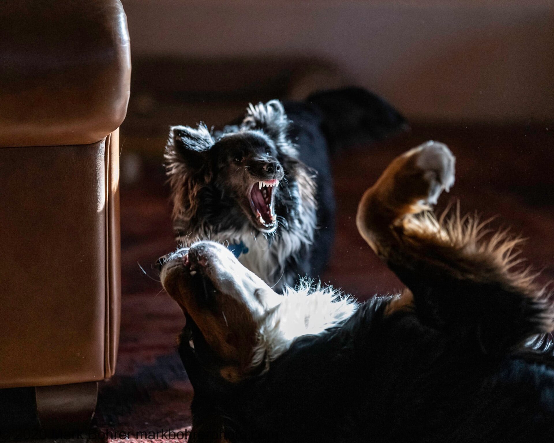 THE LEICA MEET - Facebook's largest Leica user community.