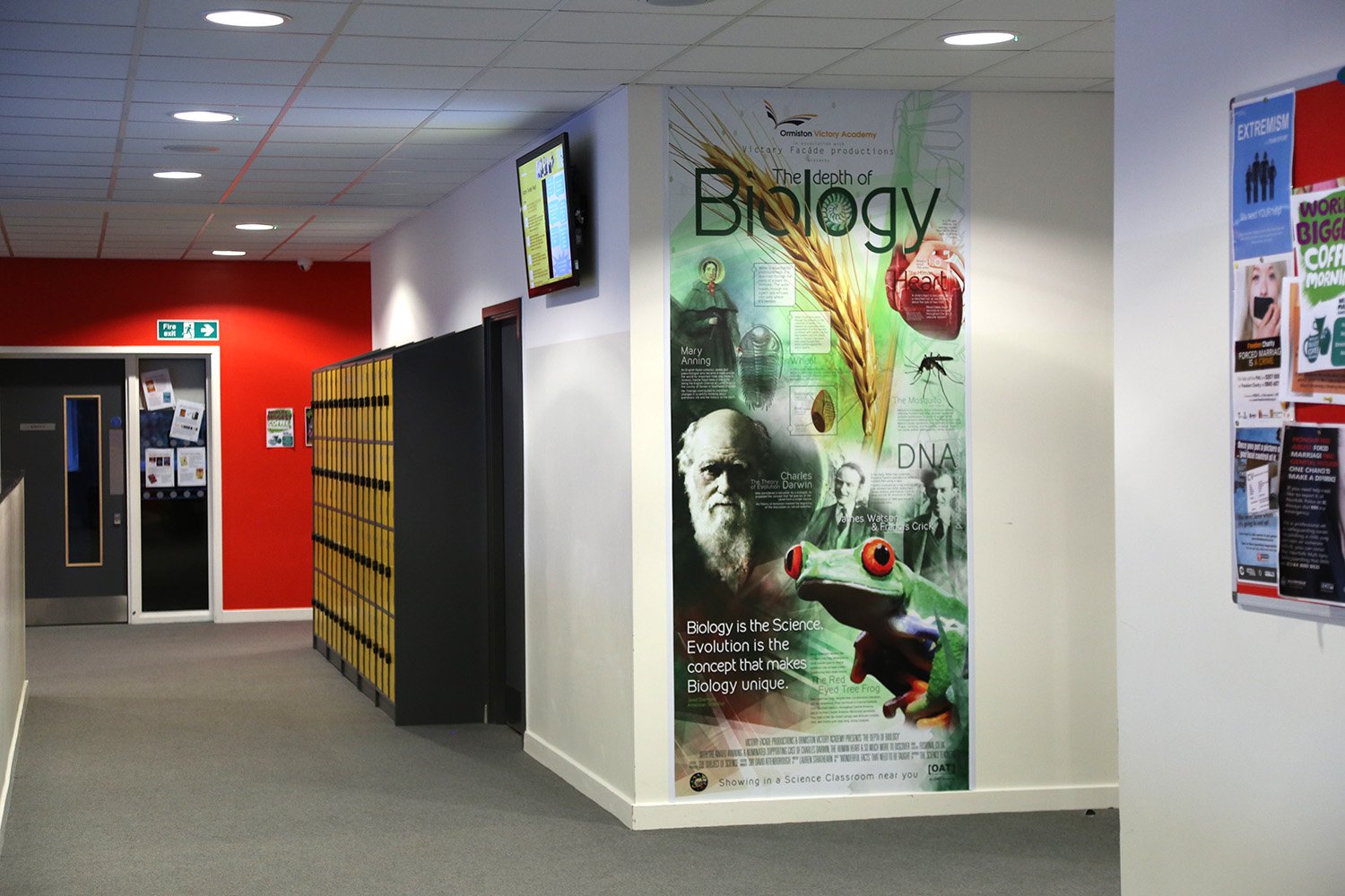 Graphic design, large format printing and feature walls UK: Fusional
