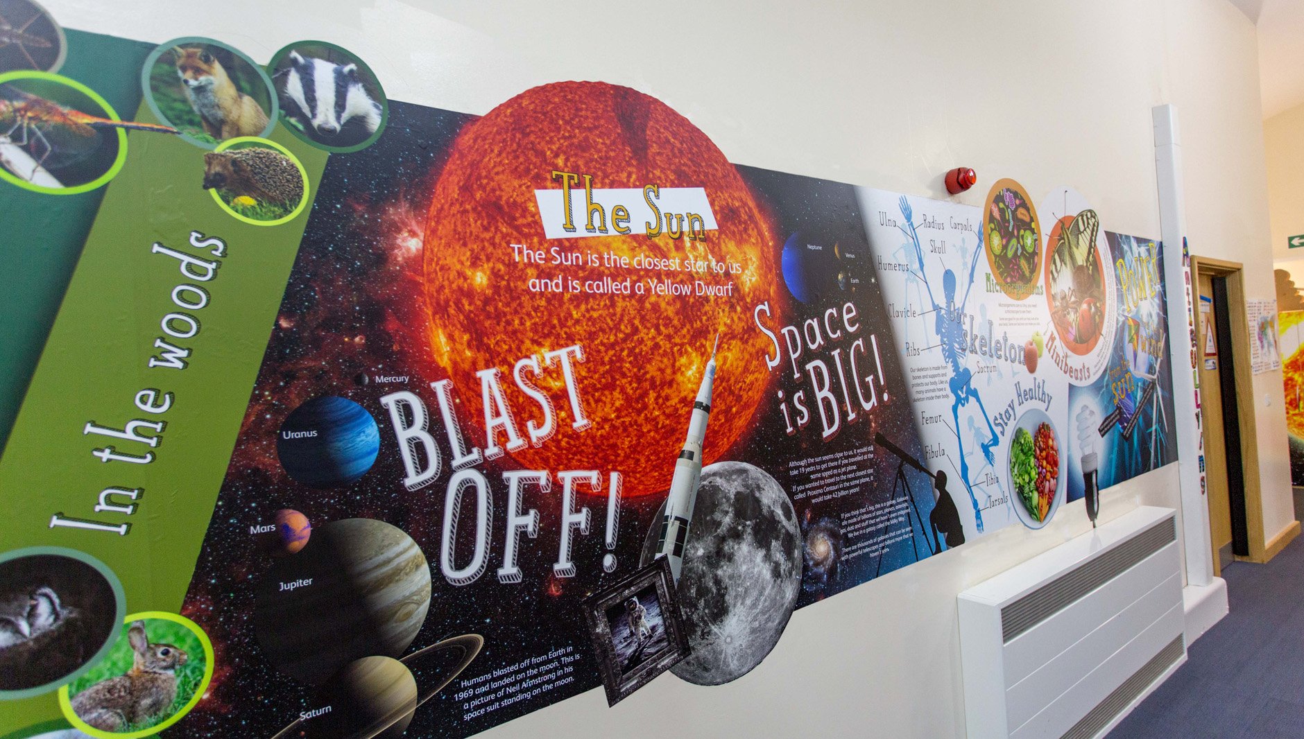 Graphic design, large format printing and feature walls UK: Fusional