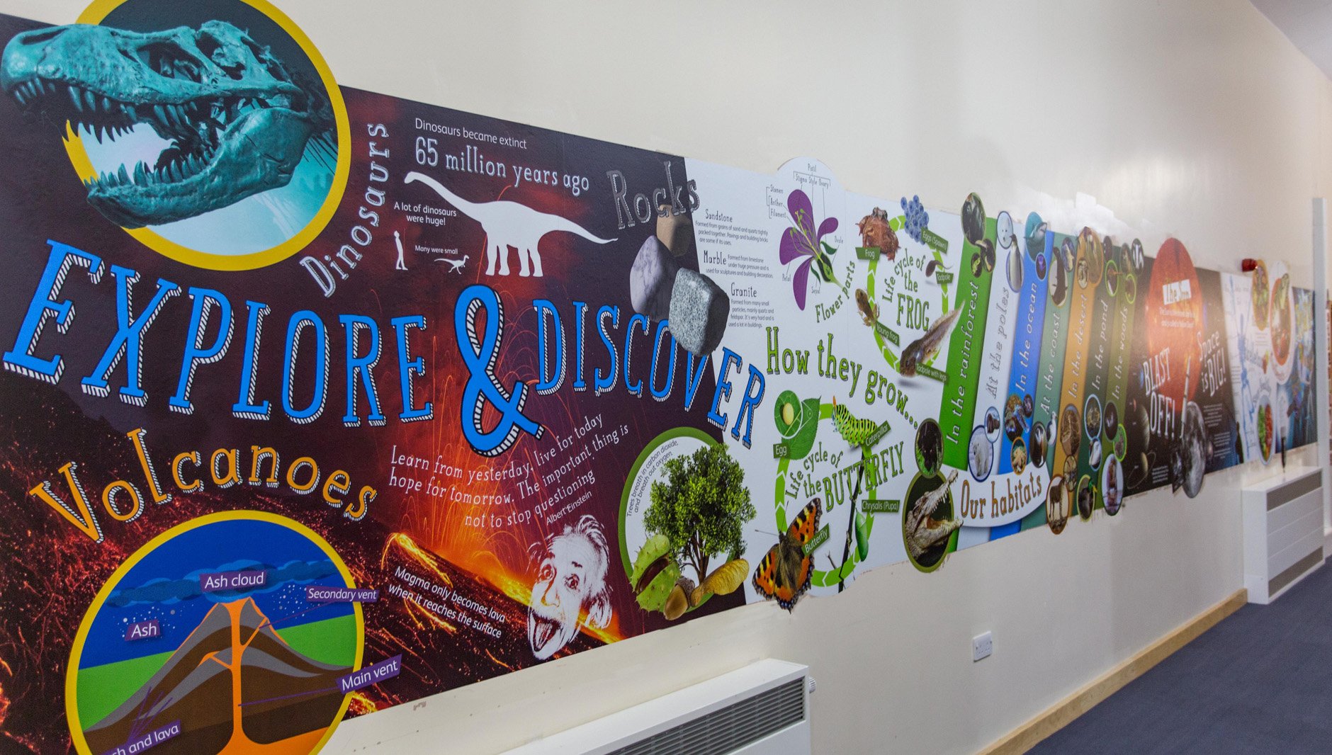 Graphic design, large format printing and feature walls UK: Fusional