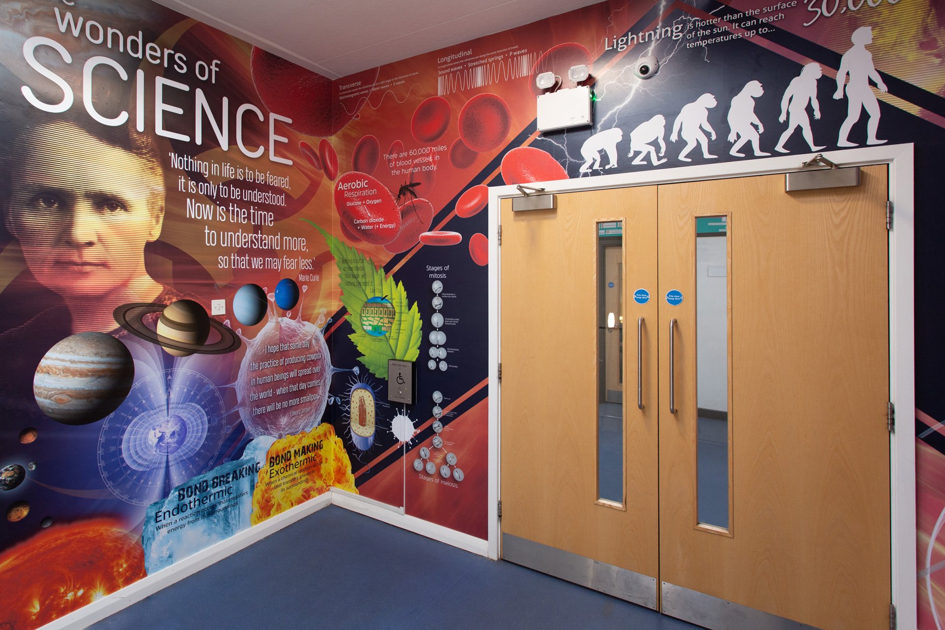 Digital Murals for Lea Manor High School