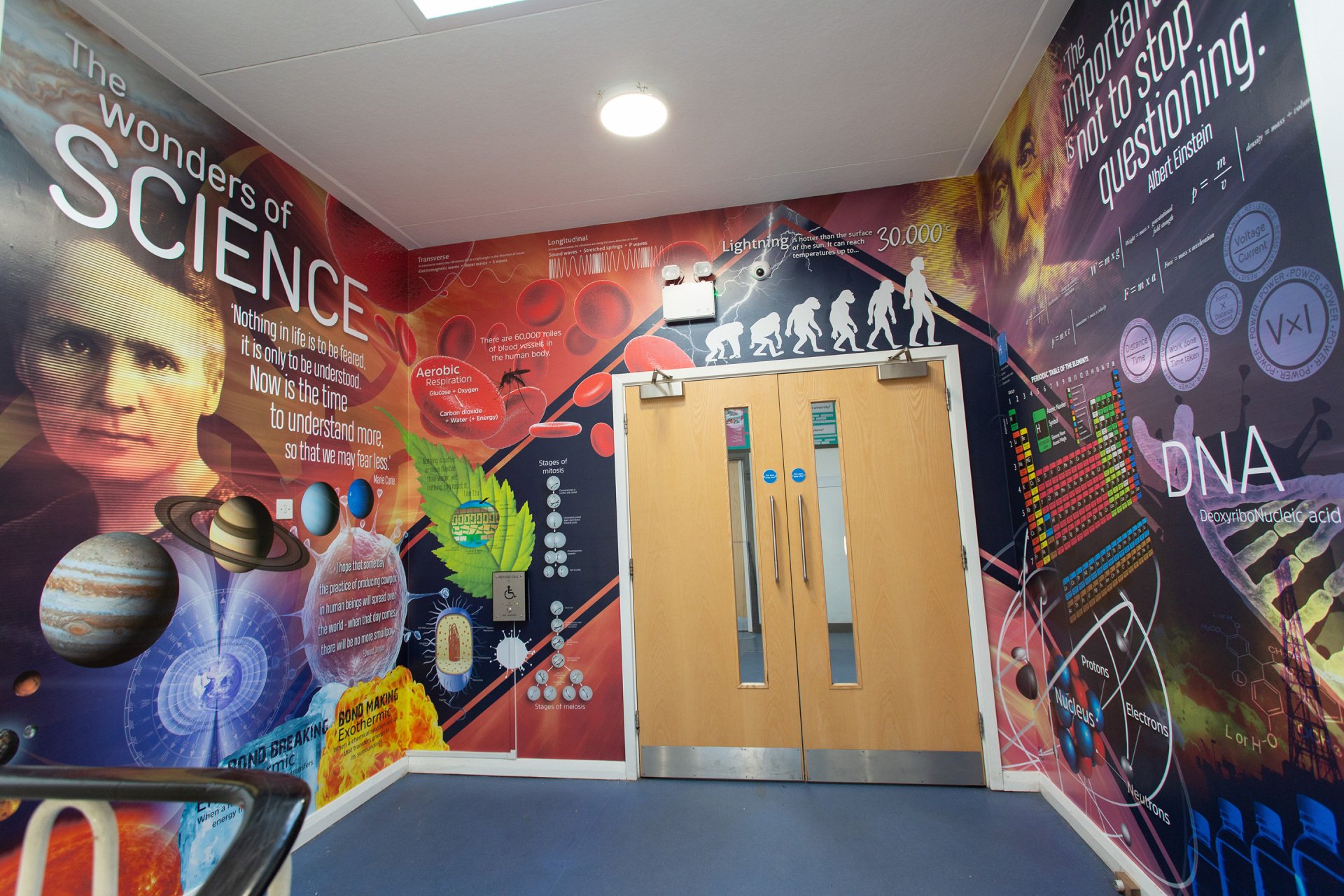 Digital Murals for Lea Manor High School