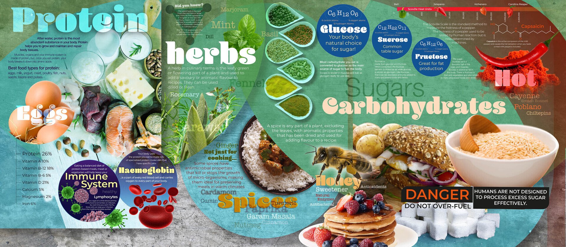 Food technology wall mural for schools. Ready to print and install