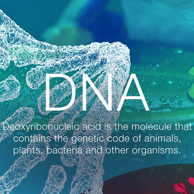 Science - Biology school wall mural