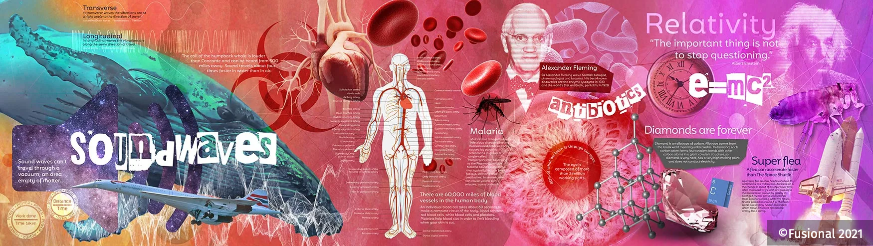 Science school mural