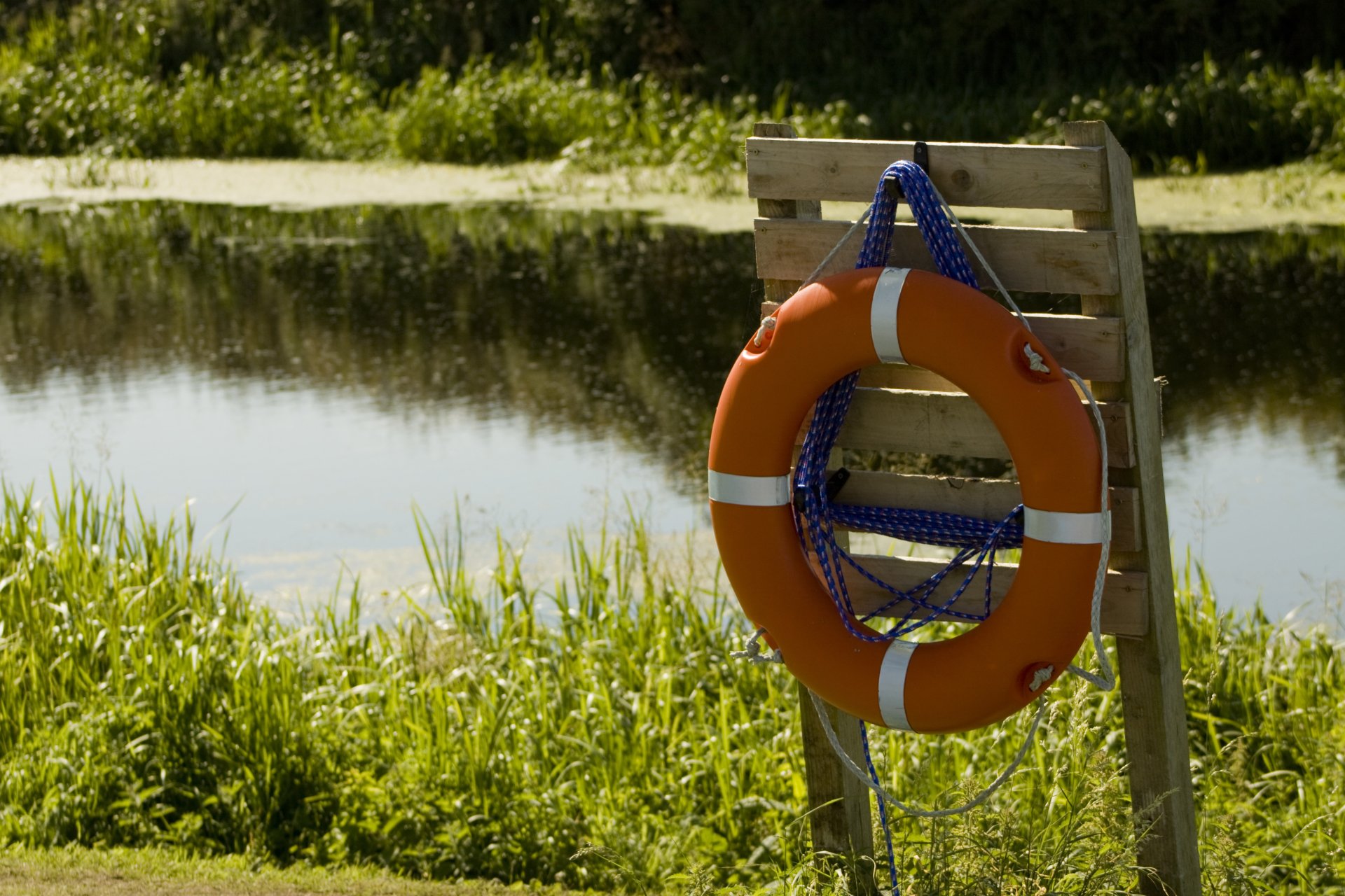 River Fishing Holidays Near Weston super Mare Somerset river-fishing-holidays-near-weston-super-mare-somerset