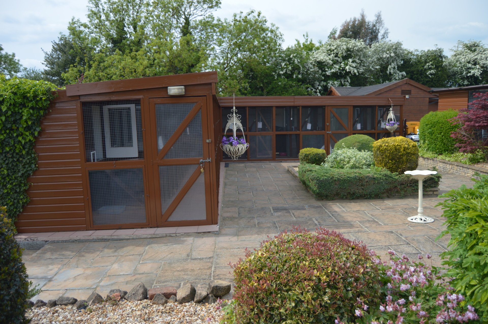A premier cat hotel | The Cattery