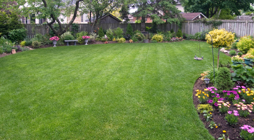 Walnut Creek Landscaping