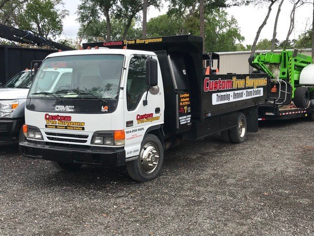 Tree Service Gallery | Custom Tree Surgeons FL