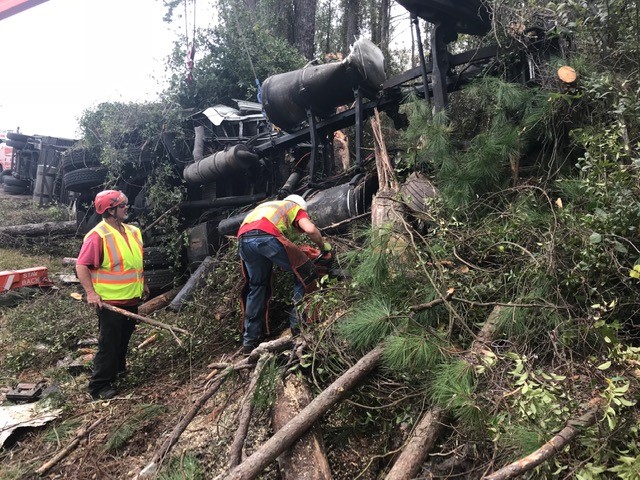 Tree Service Gallery | Custom Tree Surgeons FL