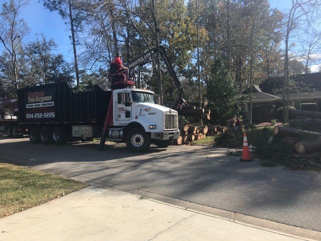 Tree Service Gallery | Custom Tree Surgeons FL