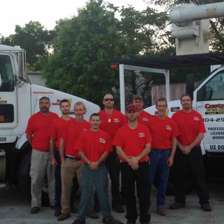 Certified Arborists | Jacksonville, FL | Custom Tree Surgeons