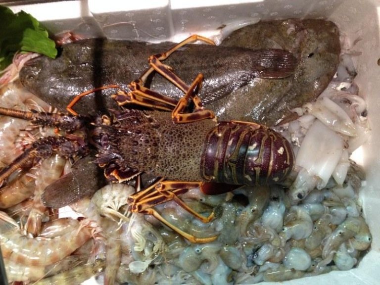 Piatti con pescato locale | Viareggio, LU | Ristorante da Miro