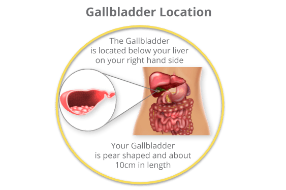 Gallbladder Surgery | Gallbladder Disease