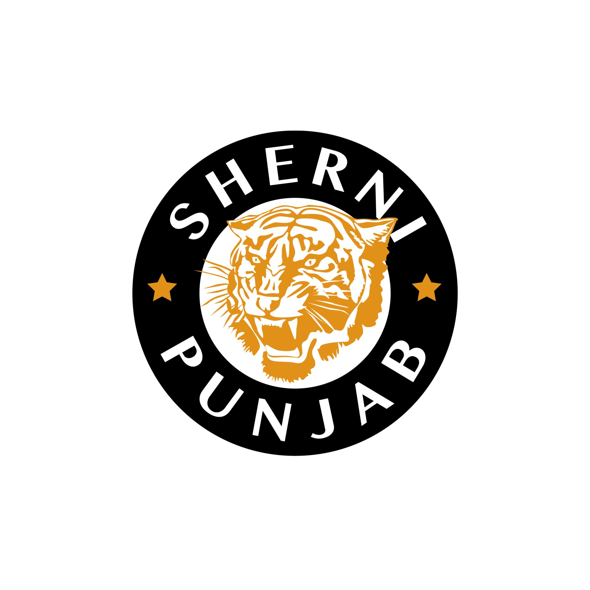 logo design and branding | mjdesign