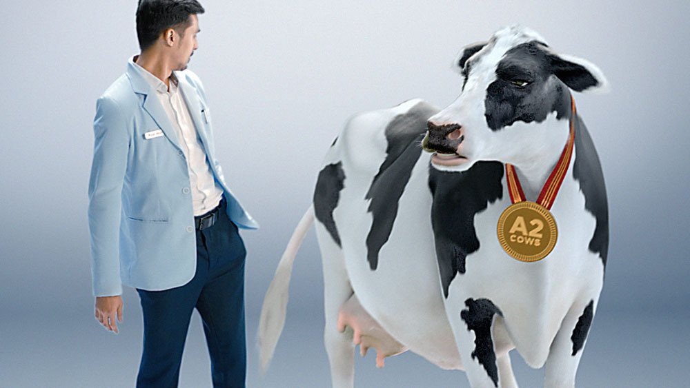 Successfully positioning the KIN dairy milk brand in Indonesia