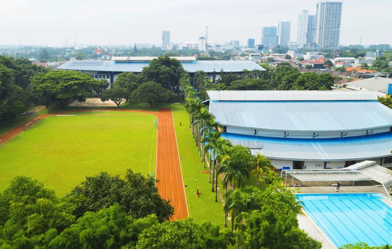 DSJ-successful school brand-building in saturated a market