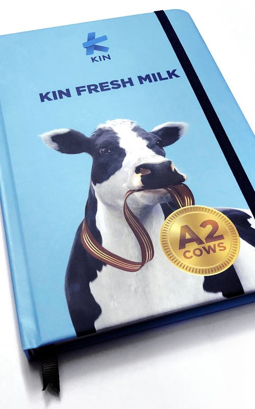 Successfully positioning the KIN dairy milk brand in Indonesia