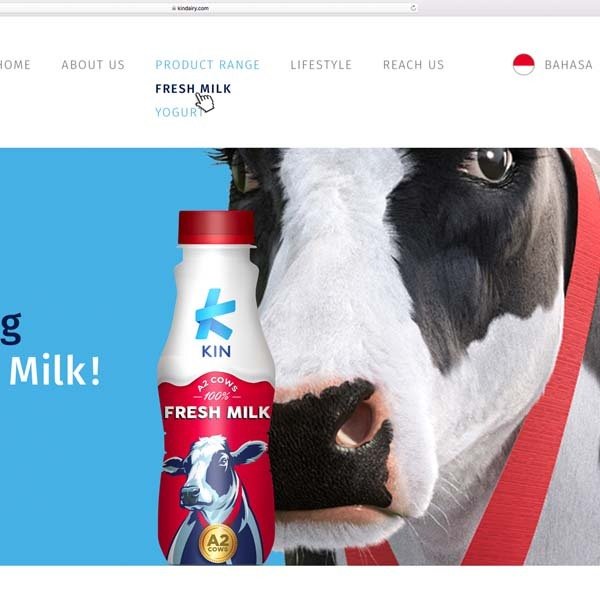 Successfully positioning the KIN dairy milk brand in Indonesia